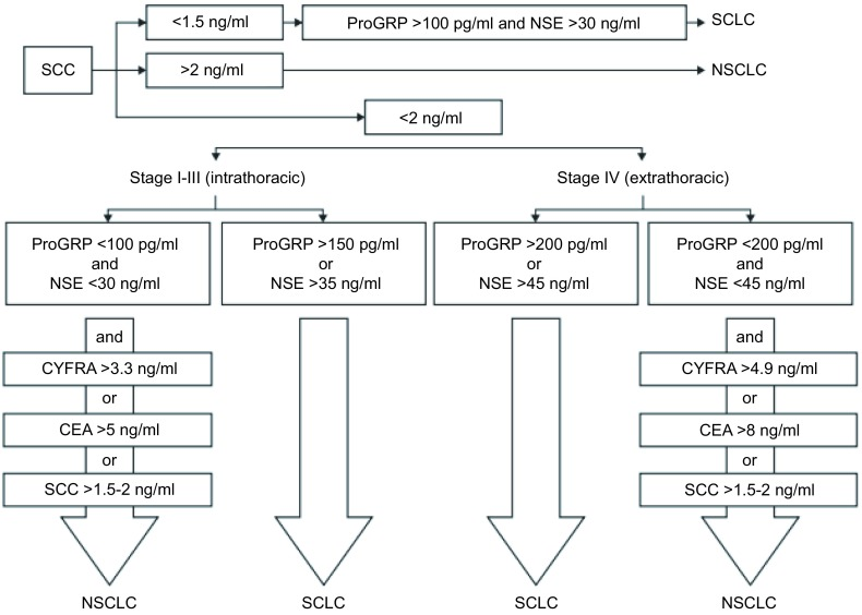 12种常见血液肿瘤生物标志物 - 武汉菲恩生物科技有限公司