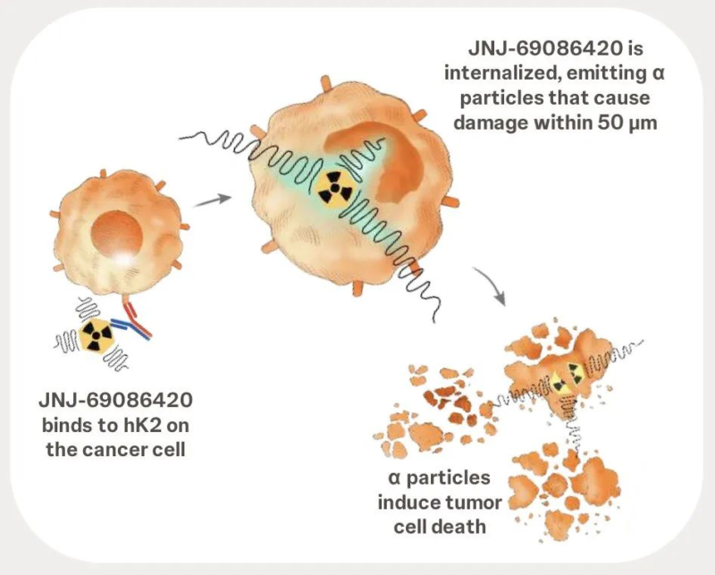 前列腺癌治疗新突破！KLK2结构、机制以及靶向治疗进展 - 武汉菲恩生物科技有限公司