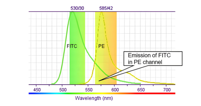 荧光补偿：影响多色流式实验准确性的核心步骤 - 武汉菲恩生物科技有限公司
