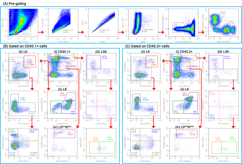 14色全光谱流式方案：全方面解析小鼠造血系统表型_产品知识_武汉菲恩生物科技有限公司