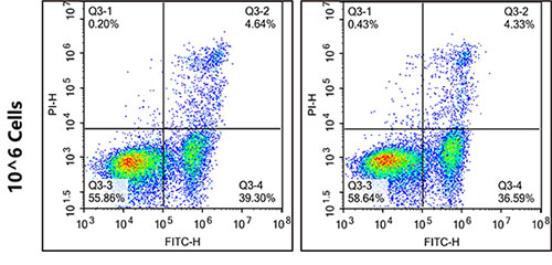 细胞功能检测试剂盒 - 武汉菲恩生物科技有限公司